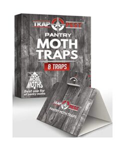 8 pack pantry moth traps- safe and effective for food and cupboard- glue traps with pheromones for pantry moths