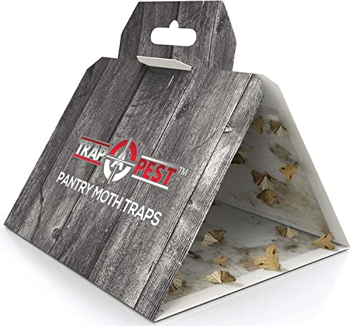 8 Pack Pantry Moth Traps- Safe and Effective for Food and Cupboard- Glue Traps with Pheromones for Pantry Moths