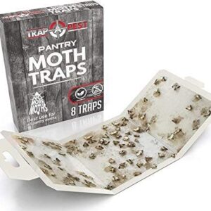 8 Pack Pantry Moth Traps- Safe and Effective for Food and Cupboard- Glue Traps with Pheromones for Pantry Moths