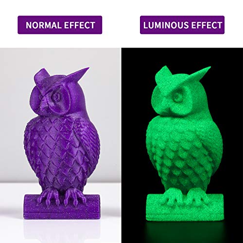 Zi-Rui 3D Printer PETG Filament, Sparkly Glitter Purple, Shining Glow in The Dark Green, 1.75mm, 2.2LBS(1KG)/Spool