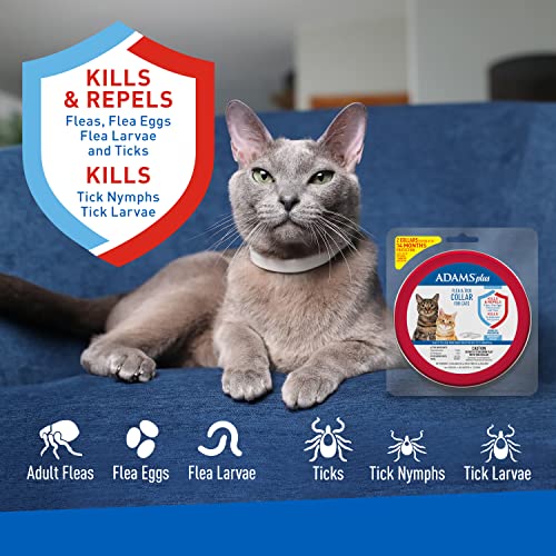 Adams Plus Flea & Tick Collar for Cats | Breakaway Collar | 2 Pack | 7 Months Protection | Kills & Repels Fleas, Flea Eggs, Flea Larvae and Kills Ticks, Nymphs, and Tick Larvae