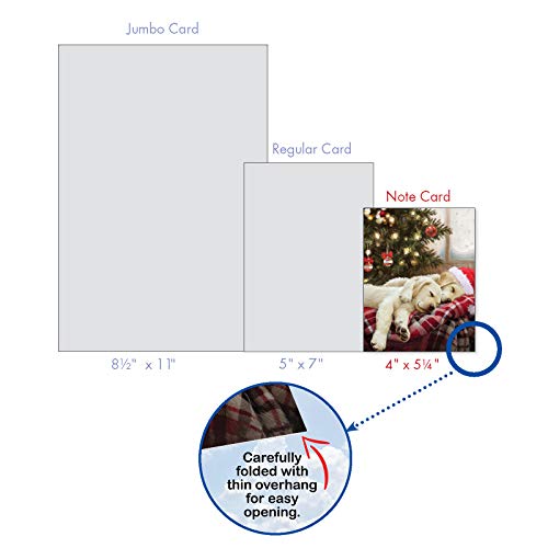 NobleWorks Variety Pack of 20 Christmas Greeting Cards with Envelopes, Humor Holiday Assortment for Men and Women (10 Designs, 2 Each) - Red Truck Puppies AM3375XSG-B2x10