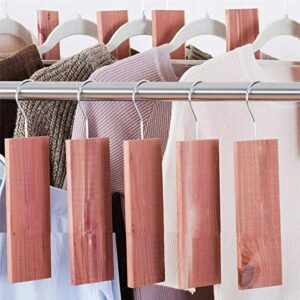 FunSpt 26 Pcs Cedar Blocks Combination with Fragrance Odor 100% Nature Aromatic Red Ceder Planks for Hanger Wardrobes Closets Drawers Freshener Clothes,Combination 001