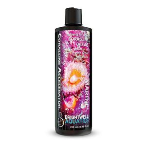 brightwell aquatics coralline accelerator - multi-nutrient supplement for coralline algae growth in marine and reef aquariums, 250 ml