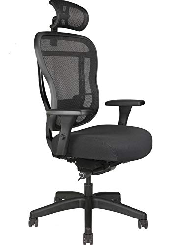 Oak Hollow Furniture Aloria Series Office Chair Ergonomic Executive Computer Chair, Fabric Soft Seat Cushion, Mesh Back, Adjustable Lumbar Support Swivel and Tilt (Black, Headrest)