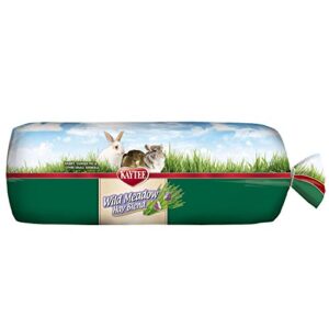 kaytee wild meadow grown hay blend