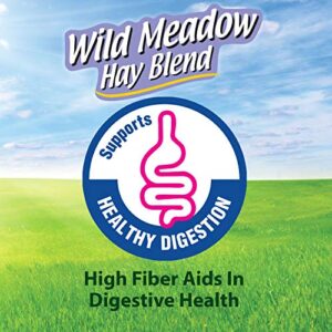 Kaytee Wild Meadow Grown Hay Blend