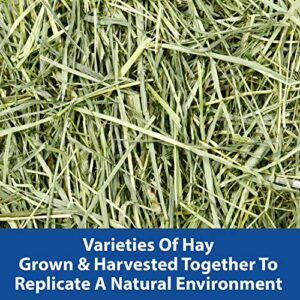 Kaytee Wild Meadow Grown Hay Blend