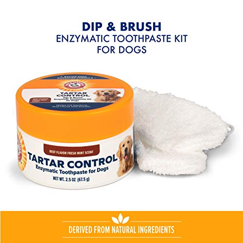 Arm & Hammer for Pets Dip & Brush Tartar Control Enzymatic Toothpaste Kit | Easy to Use Tartar Control Dog Dental Care Kit | Beef Flavored Dog Toothpaste in Fresh Mint Scent