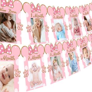 Cartoon Mouse Photo Banner Pink and Gold Newborn to 12 Month Birthday Banner for Cartoon Mouse Themed 1st Birthday Decorations Supplies