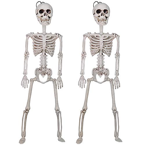 JOYIN 2 Halloween Decoration 24” Pose-N-Stay Full Body Skeleton Plastic Bone with Posable Joints for Pose Skeleton Indoor/Outdoor Spooky Scene Photo Prop Party Favors Décor