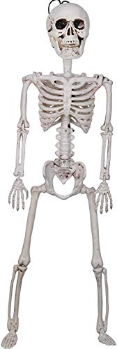 JOYIN 2 Halloween Decoration 24” Pose-N-Stay Full Body Skeleton Plastic Bone with Posable Joints for Pose Skeleton Indoor/Outdoor Spooky Scene Photo Prop Party Favors Décor