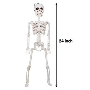 JOYIN 2 Halloween Decoration 24” Pose-N-Stay Full Body Skeleton Plastic Bone with Posable Joints for Pose Skeleton Indoor/Outdoor Spooky Scene Photo Prop Party Favors Décor