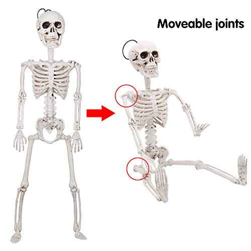 JOYIN 2 Halloween Decoration 24” Pose-N-Stay Full Body Skeleton Plastic Bone with Posable Joints for Pose Skeleton Indoor/Outdoor Spooky Scene Photo Prop Party Favors Décor