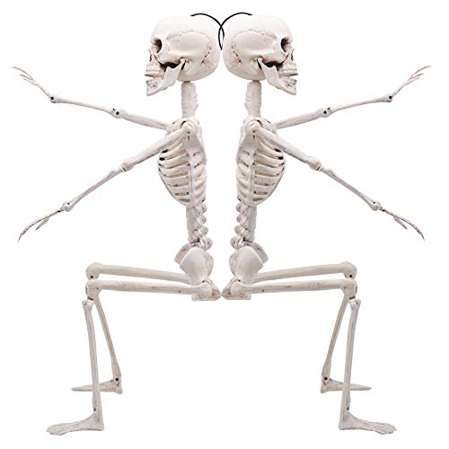 JOYIN 2 Halloween Decoration 24” Pose-N-Stay Full Body Skeleton Plastic Bone with Posable Joints for Pose Skeleton Indoor/Outdoor Spooky Scene Photo Prop Party Favors Décor