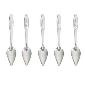 5 pcs bird parrot feeder spoon stainless steel milk medicine parrot feeding spoon for all baby bird peony cockatiel 4.7"