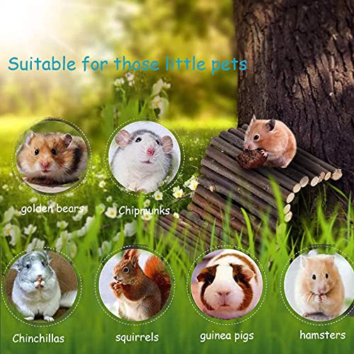 kathson 2 PCS Hamster Wooden Bridge Guinea Pig Ladder Rat Chew Toys Wood Ladder Natural Hideout for Small Animal Chinchillas Gerbils Ferret Syrian Hamster Squirrel