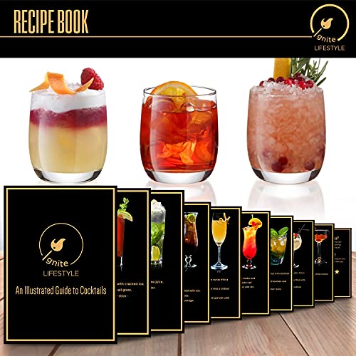 Ignite Lifestyle Cocktail Shaker Set - 24oz Martini Shaker with Built-in Strainer, Recipe Book, Muddler, Mixing Spoon, Measuring Jigger, 2 Liquor Pourers - Drink Shaker, Bartender Kit for Home Bars