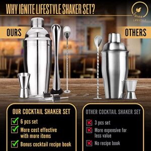 Ignite Lifestyle Cocktail Shaker Set - 24oz Martini Shaker with Built-in Strainer, Recipe Book, Muddler, Mixing Spoon, Measuring Jigger, 2 Liquor Pourers - Drink Shaker, Bartender Kit for Home Bars