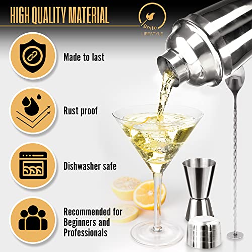 Ignite Lifestyle Cocktail Shaker Set - 24oz Martini Shaker with Built-in Strainer, Recipe Book, Muddler, Mixing Spoon, Measuring Jigger, 2 Liquor Pourers - Drink Shaker, Bartender Kit for Home Bars