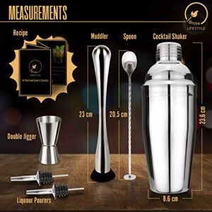 Ignite Lifestyle Cocktail Shaker Set - 24oz Martini Shaker with Built-in Strainer, Recipe Book, Muddler, Mixing Spoon, Measuring Jigger, 2 Liquor Pourers - Drink Shaker, Bartender Kit for Home Bars