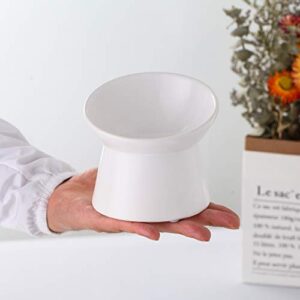 White Small Ceramic Raised Cat Bowls, Tilted Elevated Food or Water Bowls, Stress Free, Backflow Prevention, Dishwasher and Microwave Safe, Lead & Cadmium Free