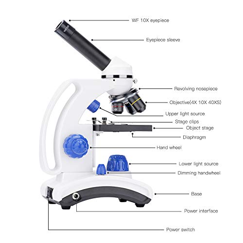 Vanstarry Beginners Microscope Kit 40X-1000X for Kids & Students, Dual LED Lights and Cordless Capability, Illumination Lab Compound Monocular Microscopes with Optical Glass Lenses & 12 Slides