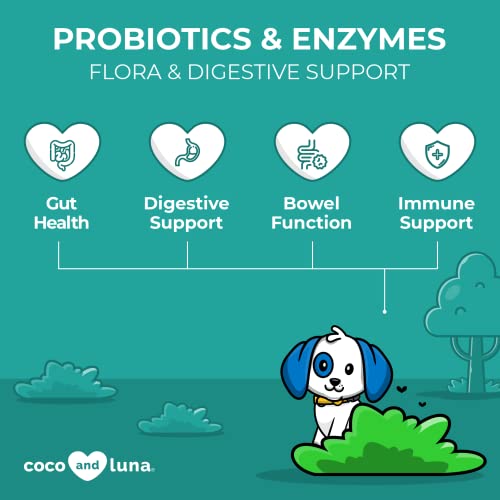 Probiotics for Dogs - 120 Chewable Tablets - Diarrhea & Gas Support for Dogs - 5.5 Billion CFUs with Digestive Enzymes and Prebiotics - Dog Allergies, Bad Dog Breath & Constipation Support