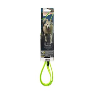 Nite Ize NiteDog Rechargeable LED Leash, USB Rechargeable 5 Foot Light Up Dog Leash w/Padded Handle, Lime