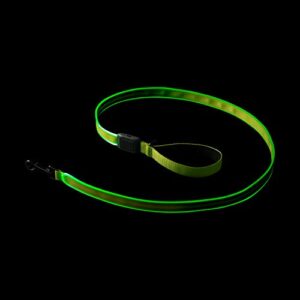 Nite Ize NiteDog Rechargeable LED Leash, USB Rechargeable 5 Foot Light Up Dog Leash w/Padded Handle, Lime