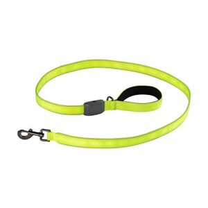 Nite Ize NiteDog Rechargeable LED Leash, USB Rechargeable 5 Foot Light Up Dog Leash w/Padded Handle, Lime