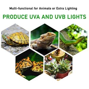 CALPALMY 25W Reptile UVA/UVB Lamp - with Lengthened Adjustable Feature | Adjustable Stand - for Bird Lizard Turtle Snake Aquarium Habitat Heat Lamps & Light Bulbs - 2-Pack