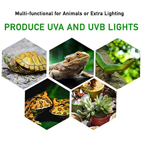 CALPALMY 25W Reptile UVA/UVB Lamp - with Lengthened Adjustable Feature | Adjustable Stand - for Bird Lizard Turtle Snake Aquarium Habitat Heat Lamps & Light Bulbs - 2-Pack