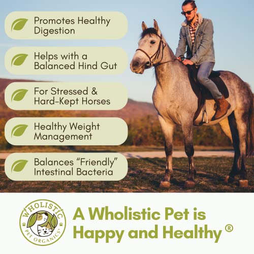 Wholistic Pet Organics Digest-All Plus: Horse Probiotics Powder - Equine Probiotics and Prebiotics with Digestive Enzymes - Equine Digestive Supplements for Gas, Constipation and Gut Health - 1 Lb