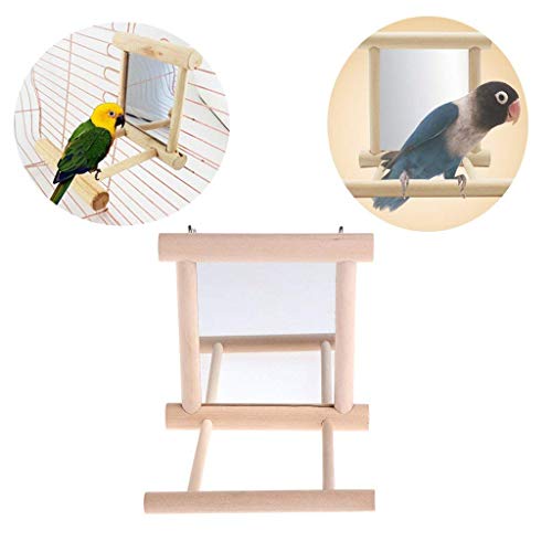 Bird Mirror Wooden Hanging Swing Interactive Play Toys for Small Parrot Budgies Macaw African Grey Parakeet Cockatiel Conure Lovebird Cage Accessories (Bird Mirror Perch Stand-2 PCS)