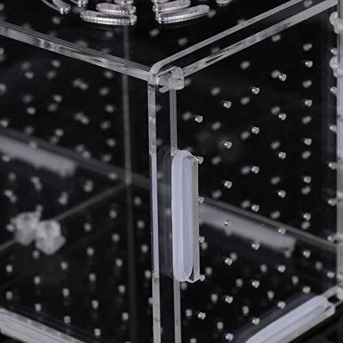 Balacoo Aquarium Fish Breeding Box - Transparent Acrylic Fish Tank Isolation Hatchery Hanging Incubator for Shrimp Clownfish Baby Fishes (Hook 201011cm)