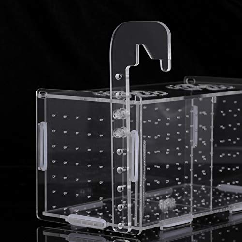 Balacoo Aquarium Fish Breeding Box - Transparent Acrylic Fish Tank Isolation Hatchery Hanging Incubator for Shrimp Clownfish Baby Fishes (Hook 201011cm)