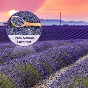 Lavender Sachet and Cedar Bags - Moth Repellent Sachets (20 Pack) Home Fragrance for Drawers and Closets. Natural Clothes Moths Repellant Dried Lavendar Flowers and Cedar Chips with Long-Lasting Aroma