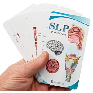 slp pocket charts