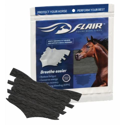 Flair Nasal Strip Single Pack Brown Standard