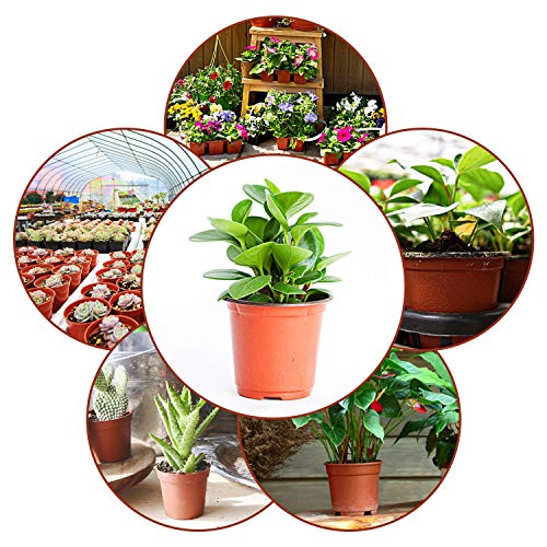 Augshy 130 Packs 6 Inches Plastic Plant Nursery Pots, Seed Starting Pot Flower Container for Succulents, Seedlings, Cuttings, Transplanting, Planter Home Docer.