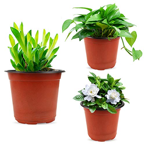 Augshy 130 Packs 6 Inches Plastic Plant Nursery Pots, Seed Starting Pot Flower Container for Succulents, Seedlings, Cuttings, Transplanting, Planter Home Docer.