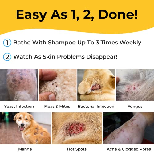 Smiling Paws Pets - Itch Relief Shampoo for Pets - Contains Benzoyl Peroxide - Kills Fleas - Relieves Allergies, Itching, Dermatitis, Mange, Dandruff, Mites, Acne, Demodex, Seborrhea, Pyoderma - 12oz