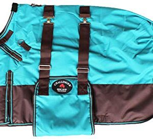 CHALLENGER 58" 1000D Miniature Weanling Donkey Pony Horse Foal Winter Blanket Teal 51937B