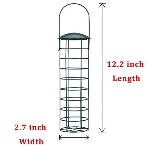 lanermoon Chicken Foraging Coop Toys for Hens,Hanging Iron Feeding Treat Box,Parrot Bird Vegetable Veggie Feeder Toys (Green)