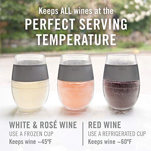 Host Cooling Wine Freeze Cup with Lid, Set of 2 Plastic Double Wall Insulated Wine Tumbler Freezable Drink Vacuum Cup with Freezing Gel, Wine Glasses for Red and White Wine, Gift Essentials, Gray