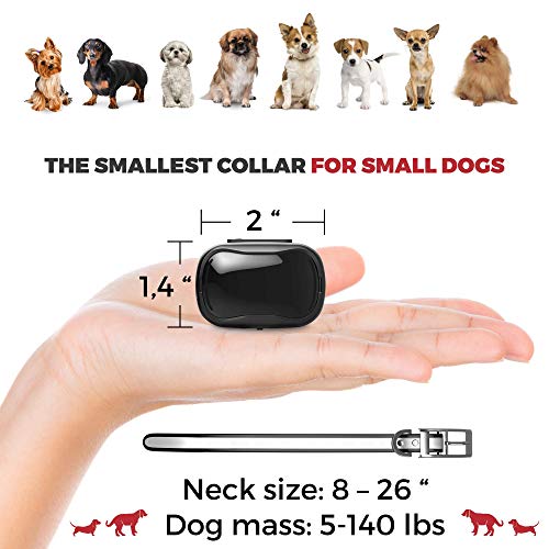 Extra Small Size Dog Training and Behavior Collar with Remote for Small Dogs 5-15lbs and Puppies with Shock - Waterproof & 1000 Ft Range