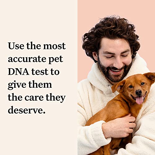 Wisdom Panel Premium: Most Comprehensive Dog DNA Test for 200+ Health Tests | Accurate Breed ID and Ancestry | Traits | Relatives | Genetic Diversity | Vet Consult | 1 Pack