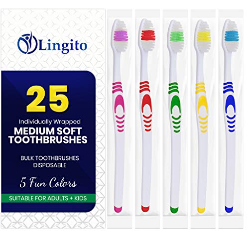 25 Bulk Toothbrushes | Individually Wrapped | Manual Disposable Travel Toothbrush Set for Adults or Kids | Made with a Medium-Soft Large Head | Multi-Color | Travel Toiletry Oral Set