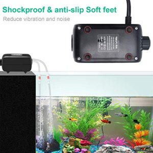 Aquarium Air Pump for Fist Tank - Small and Quiet Dual Outlet Aerator Pump Fish Tank Oxygen Bubbler with Aquarium Air Pump Accessories Air Stones Airline Tube Check Valves